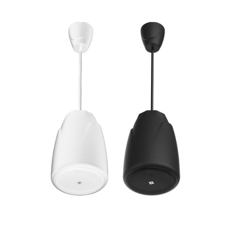 Hanging / Pendant Speakers - Audio Visual Specialists